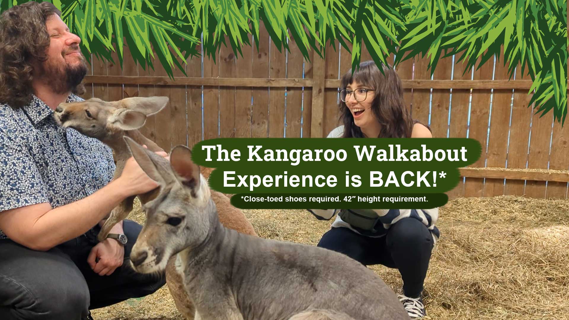 Home - Sustainable Safari