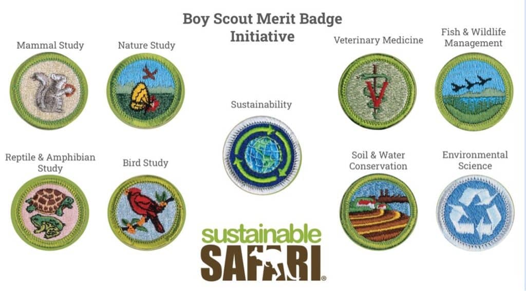 Scout Merit Badges - Sustainable Safari